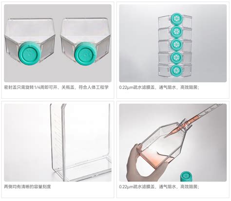 250ml未表面处理滤膜盖t75一次性细胞培养瓶