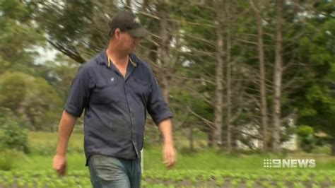 Embedded Online Player Clickview