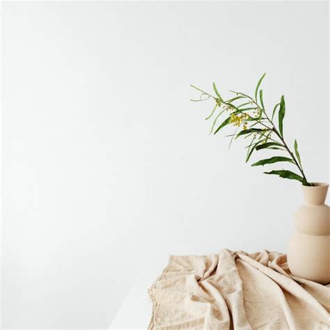 Divya Sri On Linkedin Quiztime Grazio Graziofam