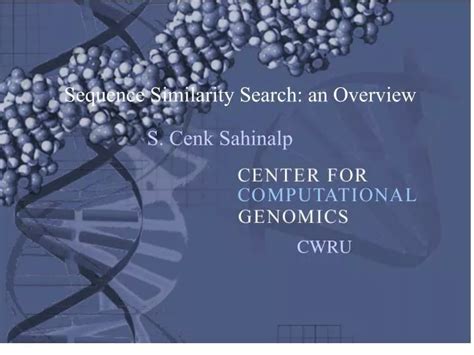 PPT Sequence Similarity Search An Overview PowerPoint Presentation Free Download ID 3685030