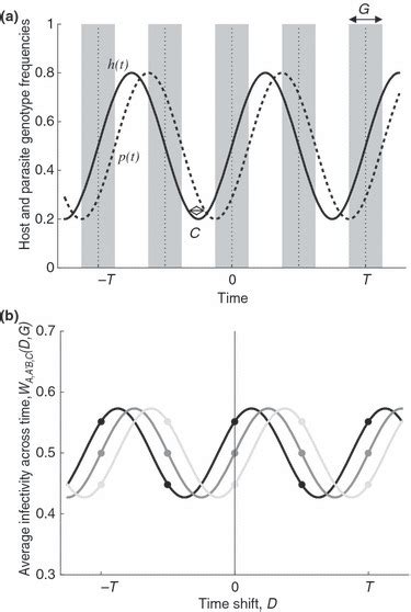 coevolutionary dynamics in a simple coevolution model of fluctuating