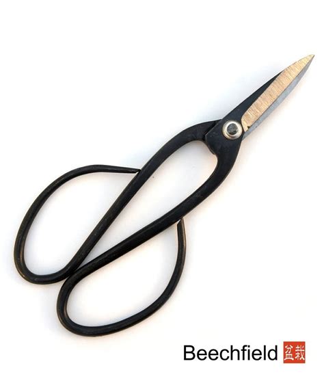 Basic General Bonsai Scissors Beechfield Bonsai