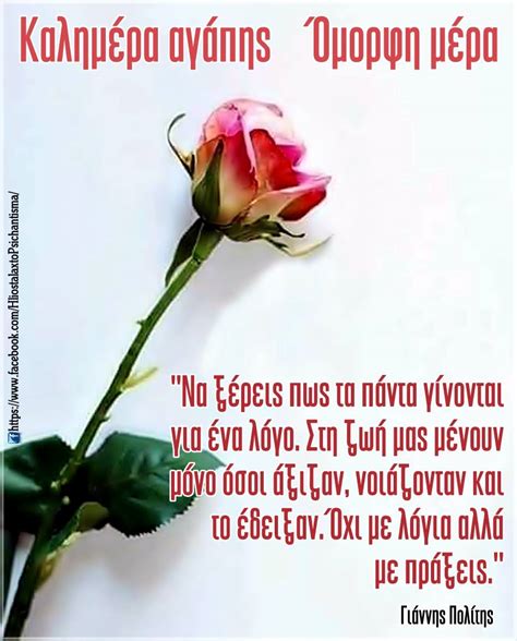 Όμορφη Καλημέρα με αγάπη με Ηλιοστάλαχτο Ψυχάνθισμα