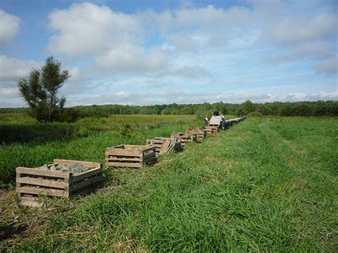 La Sabl Forcée De Défaire La Passerelle Du Sentier Dinterprétation