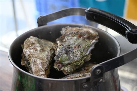 彦根経済新聞┊︎ひこけい┊︎地域のハッピーニュースをお届け 期間限定オープン 【jsl牡蠣（かき）小屋だるま】 「能登カキ」を
