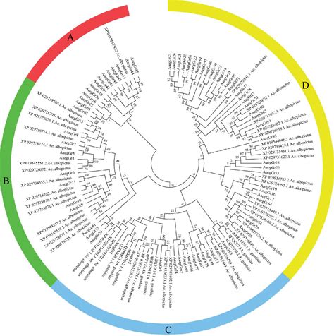 Figure 1 From In Silico Characterisation Of The Aedes Aegypti Gustatory Receptors Semantic Scholar