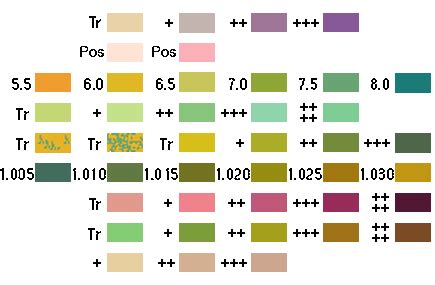Urinalysis Normal Values Chart A Visual Reference Of Charts Chart Master