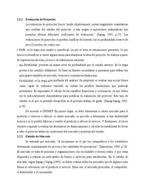 Factibilidad De Un Proyecto Pdf Mercado Economía Producto Negocio
