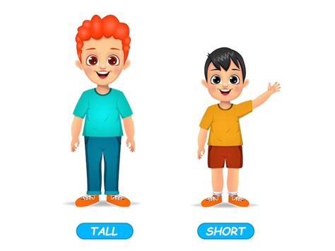 Short Vs Tall Clipart