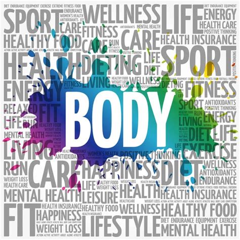 Body Word Cloud Stock Vector By ©dizanna 66877649