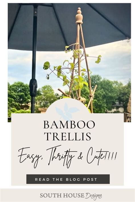 Make A Bamboo Trellis Thats Quick Easy And Really Cute South House Designs