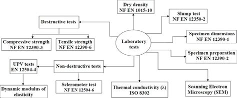 Synoptic Diagram Of The Experimental Protocol Download Scientific