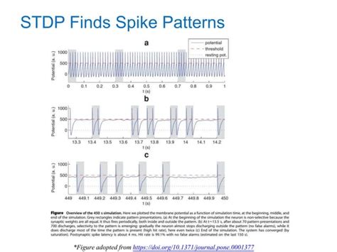 Introduction To Spiking Neural Networks From A Computational Neuroscience Perspective PPTX