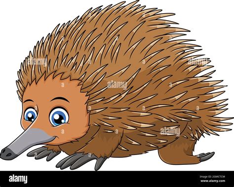 Cute Short Beaked Echidna Cartoon Vector Illustration Stock Vector