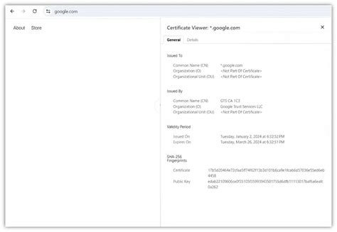 Wildcard Ssl Vs Standard Ssl Whats The Difference
