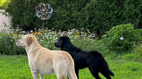 Ray Diffley Posted On Linkedin