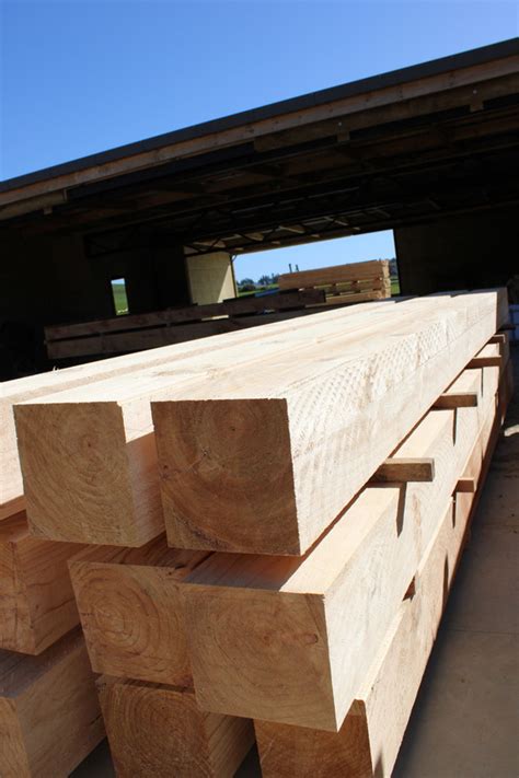 Macrocarpa Timber Sustainable And Durable Timber Products