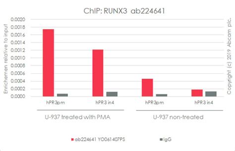 Anti Runx3 Antibody Chip Grade [epr20687] Ab224641 Abcam