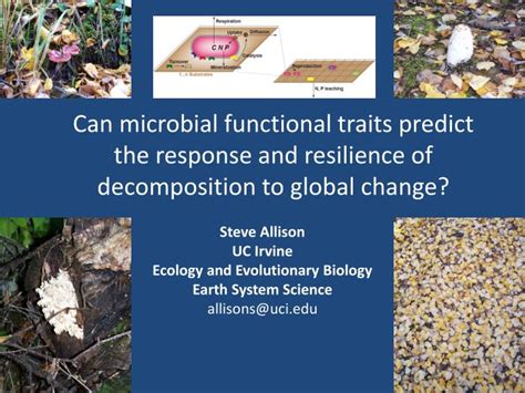 Ppt Can Microbial Functional Traits Predict The Response And Resilience Of Decomposition To