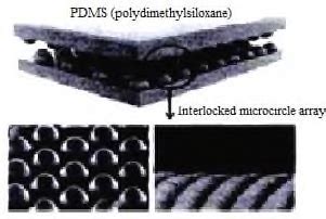 Flexible Pressure Sensor With Interlocked Micro Circle Array Download Scientific Diagram