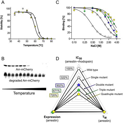 arrestin 1 mutant combination strategy and multi dimensional screening