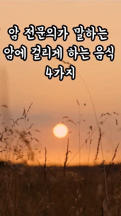 암에 걸리게 하는 음식 4가지 Youtube