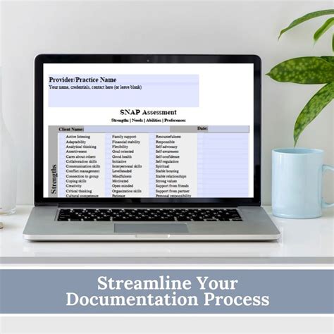 Snap Assessment Identify Strengths Needs Abilities And Preferences
