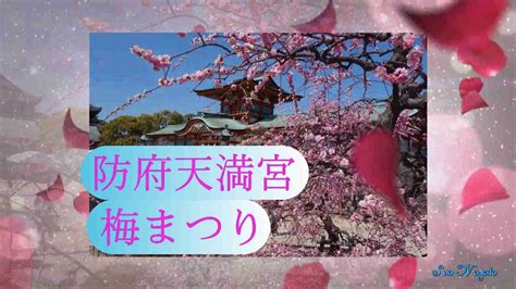 防府天満宮 梅まつり Youtube