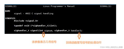 【linux系统】linux进程信号详解linux信号 Csdn博客
