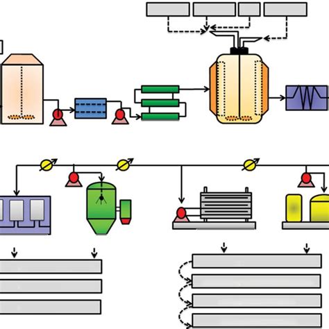 Pdf Production Of High‐quality Probiotics By Fermentation