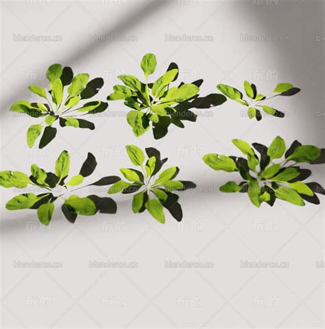 Blender草blender布的模型256 Blender布的