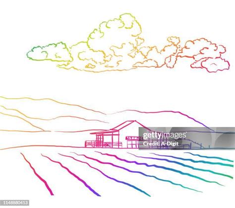 60 Crop Row Plant Clip Art High Res Illustrations Getty Images