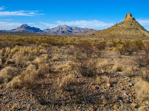Is Texas All Desert Areas And Regions