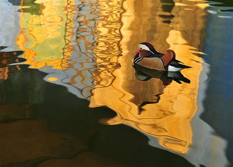 Accessible Seo Friendly Accordion Gallery Examples