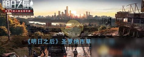 【明日之后安卓果盘帐号】【13级】安娜市t1三围。果盘版10000元交易九游