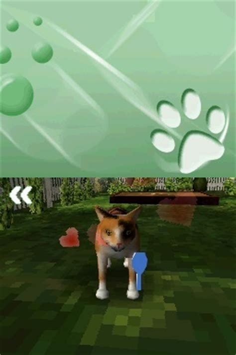 Test De Mon Ami Le Chaton Sur DS Par Jeuxvideo