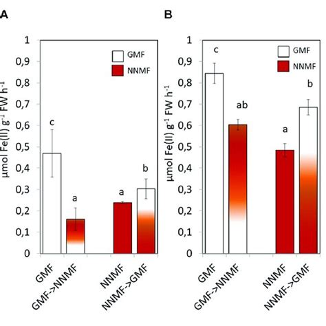 In Vivo Root Ferric Reductase Activity Of Arabidopsis Thaliana Grown Download Scientific