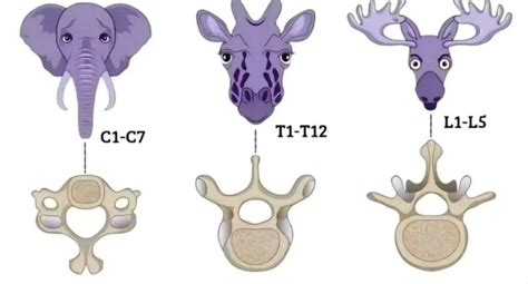 Khusnul Khotimah Posted On Linkedin