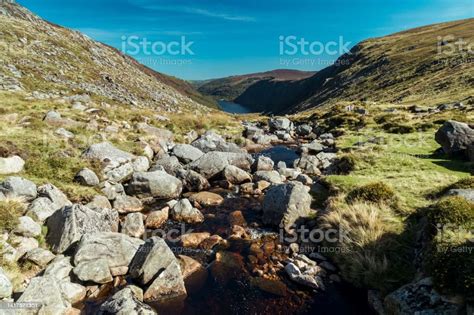 아일랜드의 북동쪽 해안에있는 바위로 가득 찬 강의 자연 경관 전망 0명에 대한 스톡 사진 및 기타 이미지 0명 강 강둑 Istock