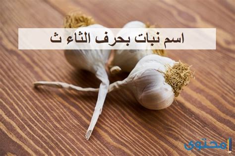 اسم نبات بحرف الثاء ث اشهر نباتات بحرف ث موقع محتوى