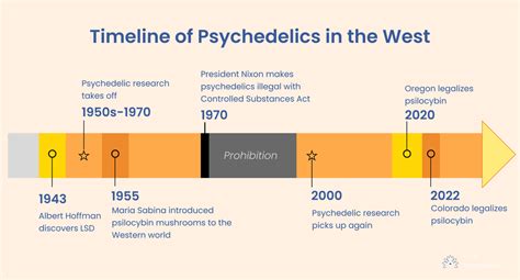 What Are Psychedelics How Do Psychedelics Work