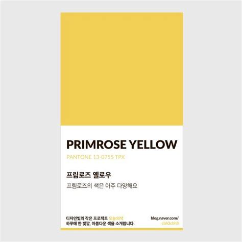 Color Of Today Primrose Yellow