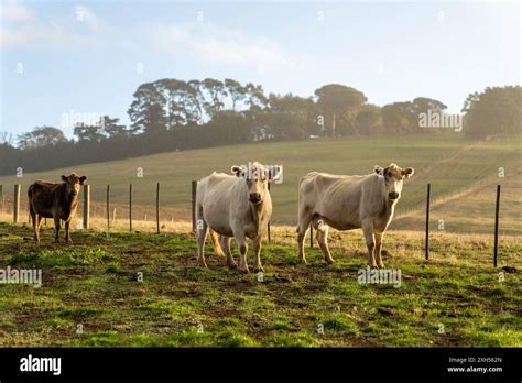 Sustainable Agriculture Practices Enhancing Ecosystems Livelihoods
