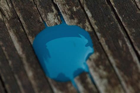 Macro Color Stains Free Photo On Pixabay Pixabay
