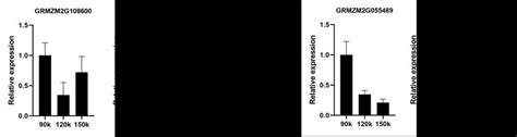 Rt Qpcr Validation For The Genes Involved In Cell Expansive Growth And