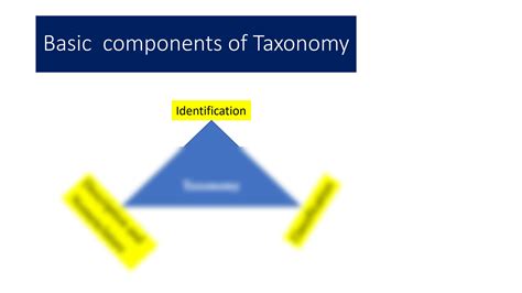 SOLUTION Scope And Significance Of Taxonomy Studypool
