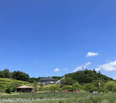 成婚者の声 おかやま縁むすびネット｜岡山県運営の婚活事業。出会いを安心安全にサポート