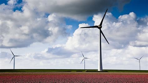 Зеленая энергия в Люксембурге устойчивые проекты и возобновляемые инициативы — Luxtoday Lu