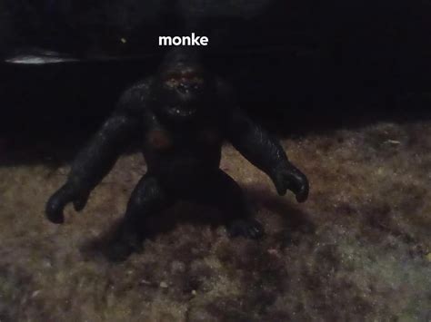 Monke R Monke