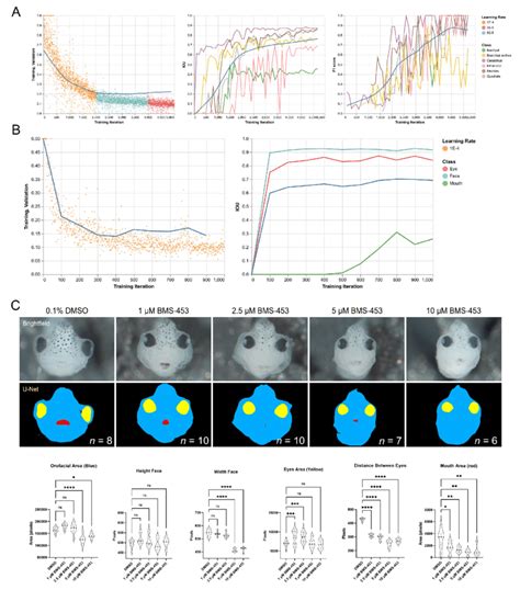 Fig S14 U Net Deep Learning For Facial Phenotyping A Alciannet Download Scientific Diagram